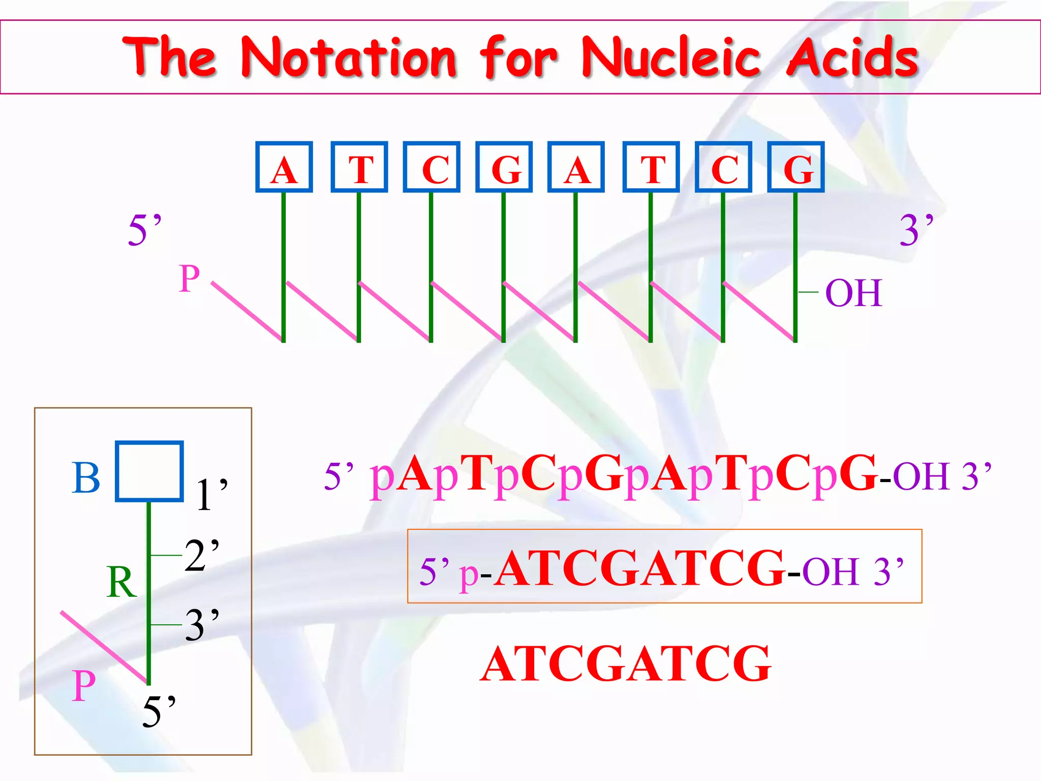 Chemistry of DNA | PPSX