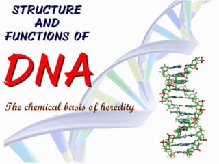 Chemistry of DNA | PPSX