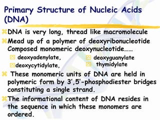 Chemistry of DNA | PPSX