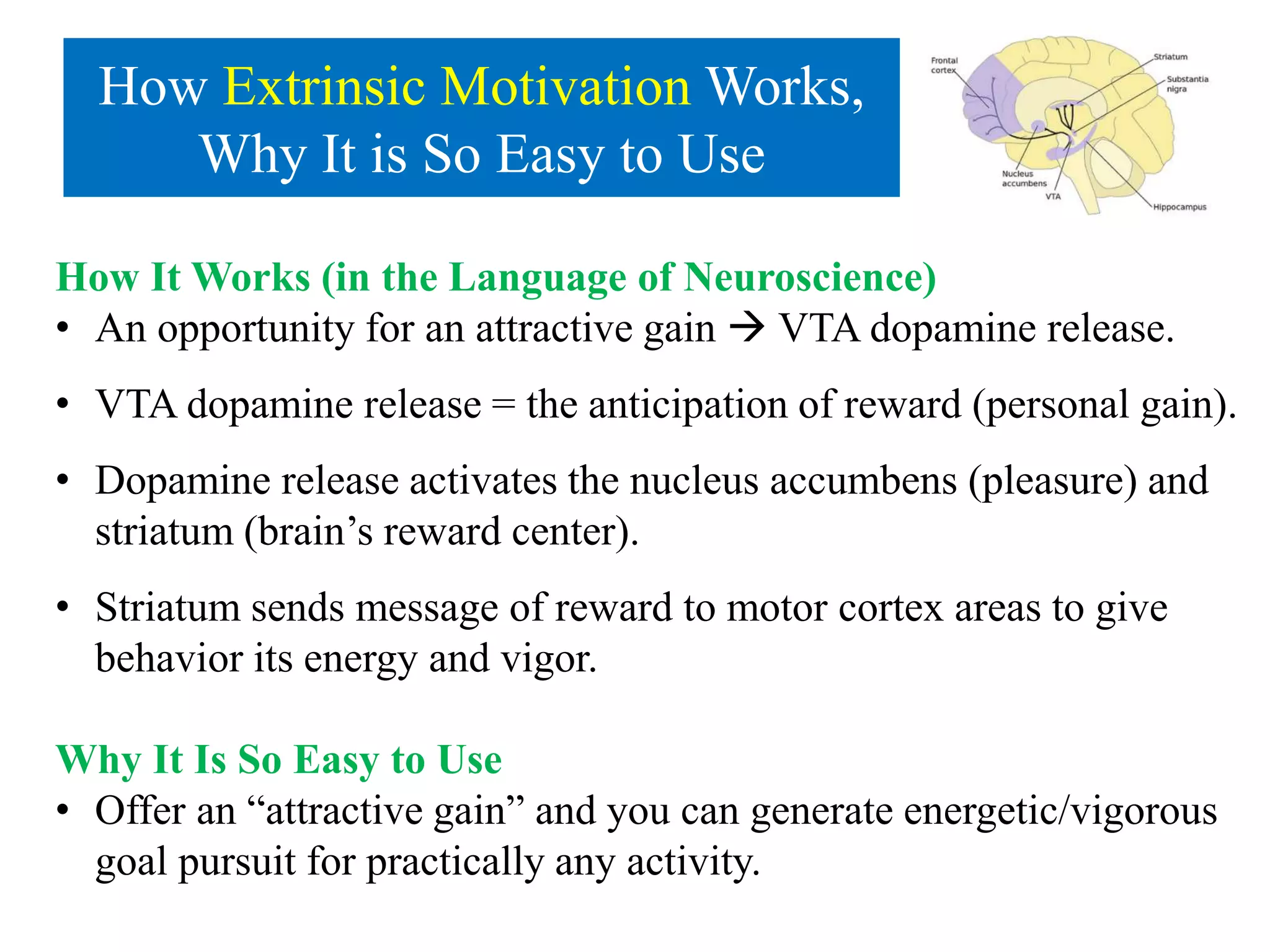 Intrinsic Motivation: Appreciating It, Supporting It - Johnmarshall ...