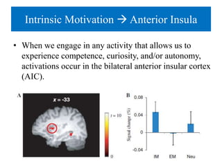 Intrinsic Motivation: Appreciating It, Supporting It - Johnmarshall ...