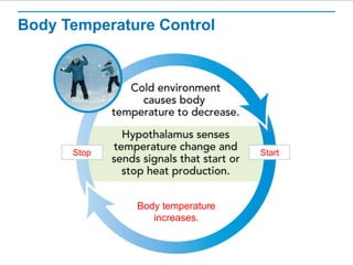 27.1 Organisation of the Human Body.ppt