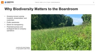 Enhancing ESG Through Biodiversity Management | PPTX