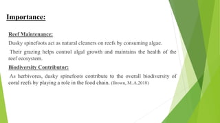 27.Dusky spine foot, economic importance.pdf