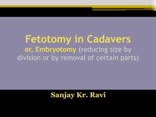 27. Fetotomy in Cadavers pdf veterinary obstetrics | PDF
