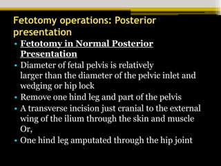 27. Fetotomy in Cadavers pdf veterinary obstetrics | PDF