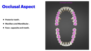 27 28:1:2021 lab 1 .pdf