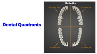 27 28:1:2021 lab 1 .pdf