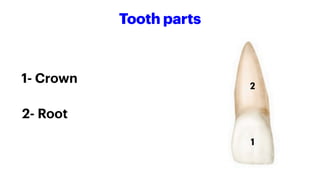 27 28:1:2021 lab 1 .pdf