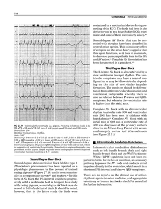 27 - Cardiology.pdf