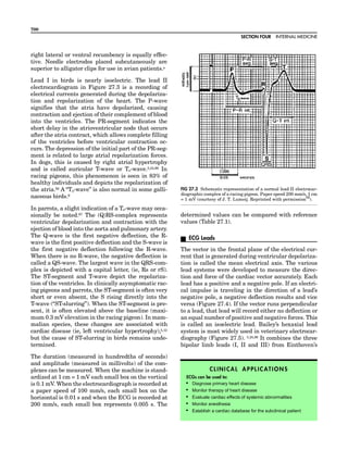 27 - Cardiology.pdf