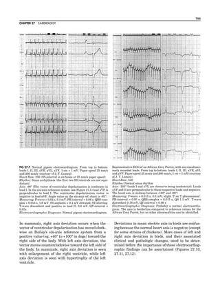 27 - Cardiology.pdf