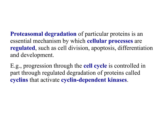 27-protease.ppt