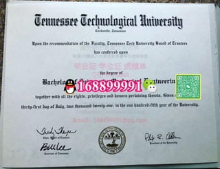Tennessee Tech University degree offer diploma Transcript | PDF