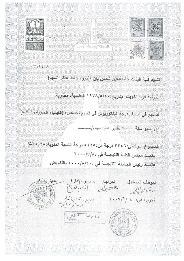 marwa zidan CV | PDF