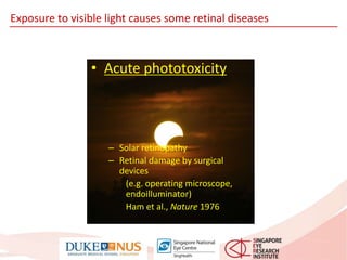 Visible light and the retina | PPTX
