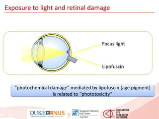 Visible light and the retina | PPTX