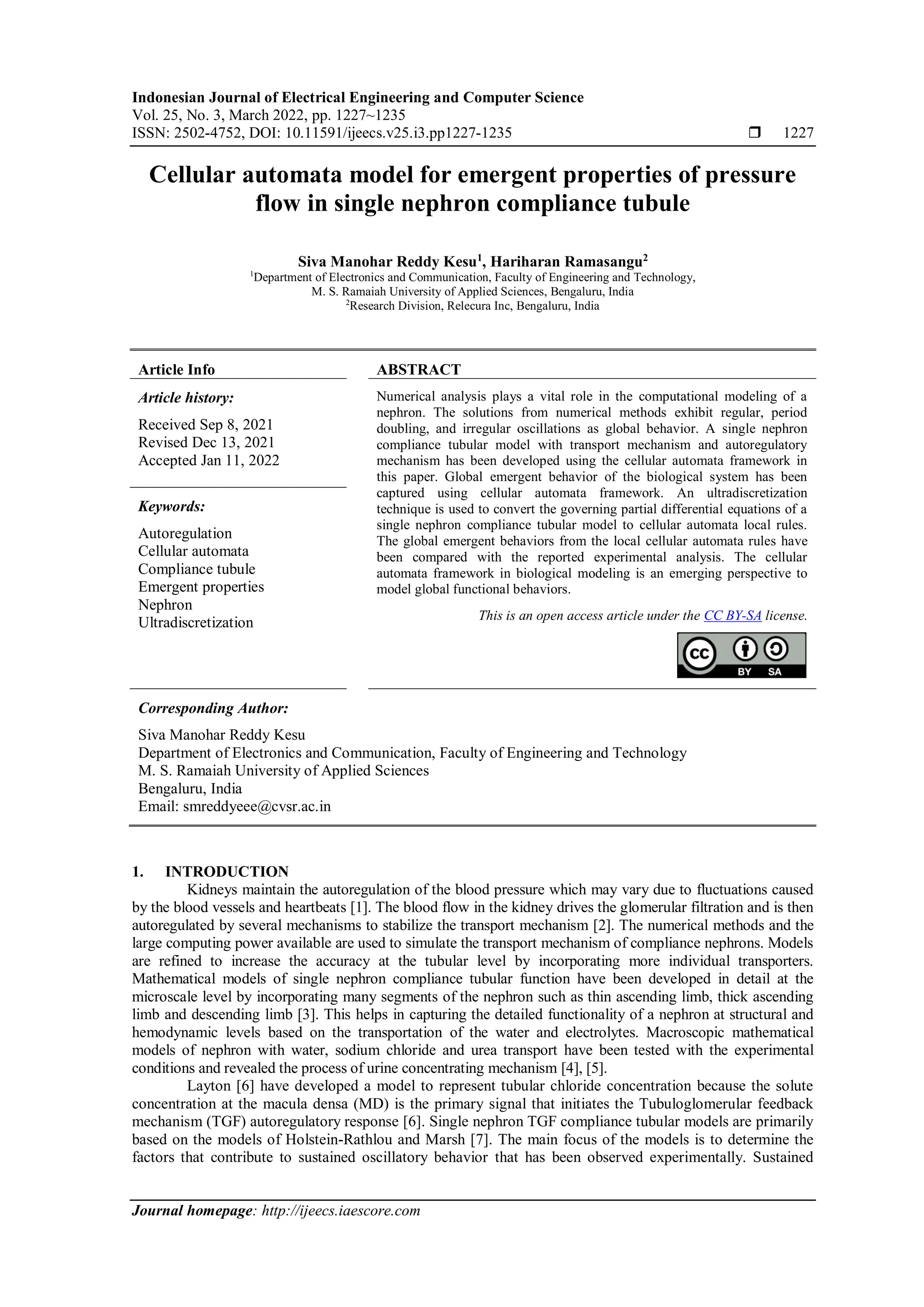 Cellular automata model for emergent properties of pressure flow in single nephron compliance ...