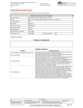 BSCI Audit Report Haoshun | PDF