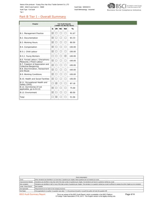 BSCI Audit Report Haoshun | PDF