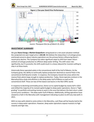 SGY Burkenroad Report | PDF | Stocks and Bonds | Personal Investing