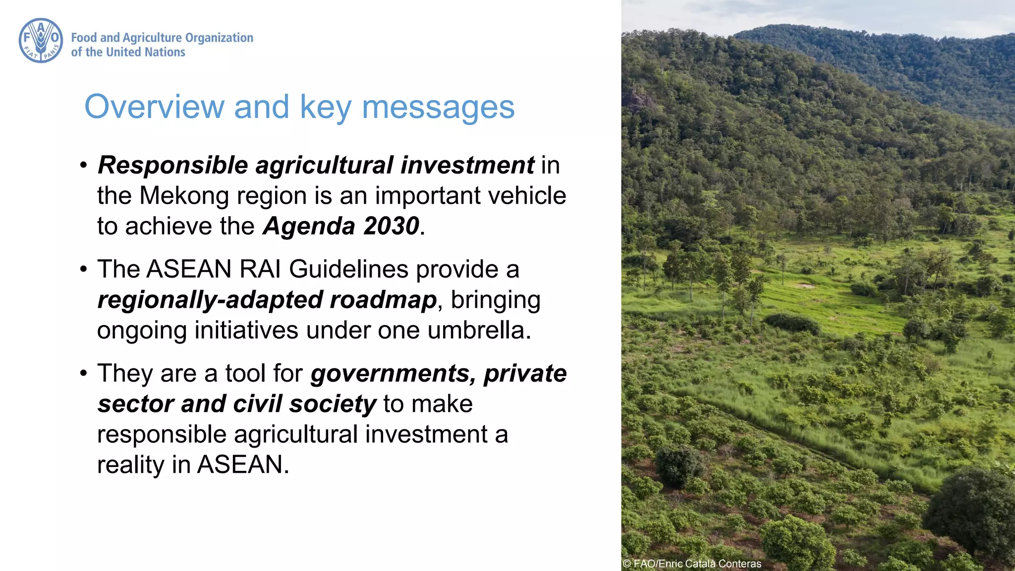 27 1400 1_fao_introduction asean rai mekong forest landscapes | PDF