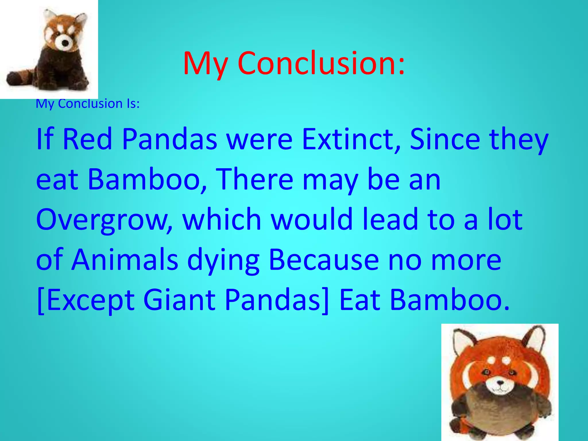 Red panda | PPT
