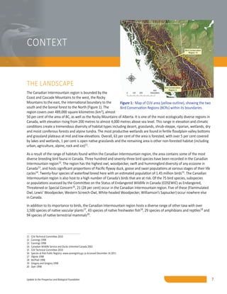 Canadian Intermountain Joint Venture Prospectus | PDF