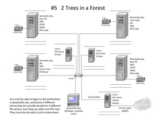 5 - 2 trees in a forest | PPT