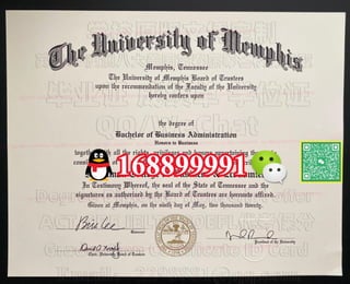 The University of Memphis degree offer diploma Transcript | PDF