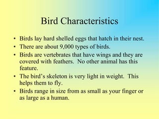 273148162-Classification-of-animals-1-ppt.ppt