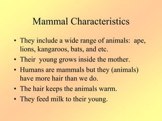 273148162-Classification-of-animals-1-ppt.ppt