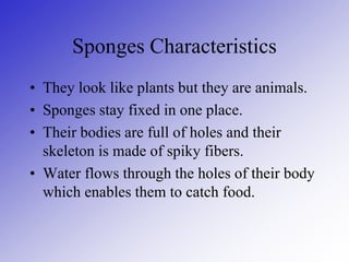 273148162-Classification-of-animals-1-ppt.ppt