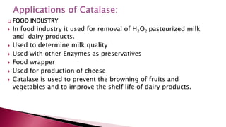 ENZYME KINETICS | PPTX