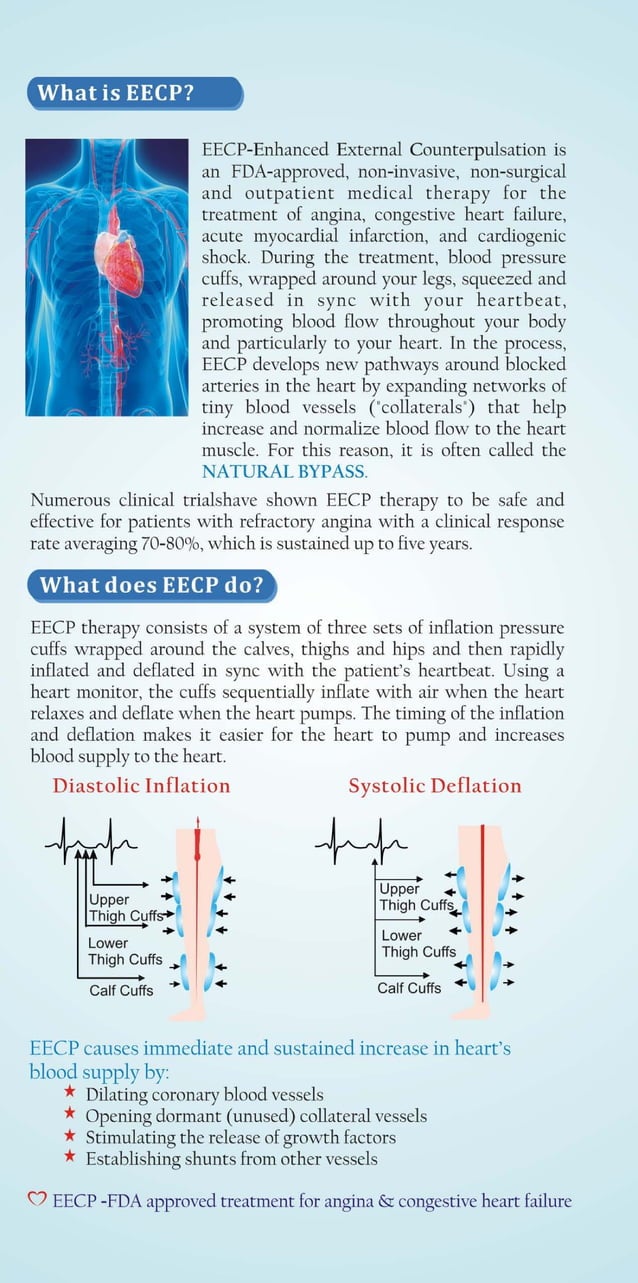 ECP brochure | PDF
