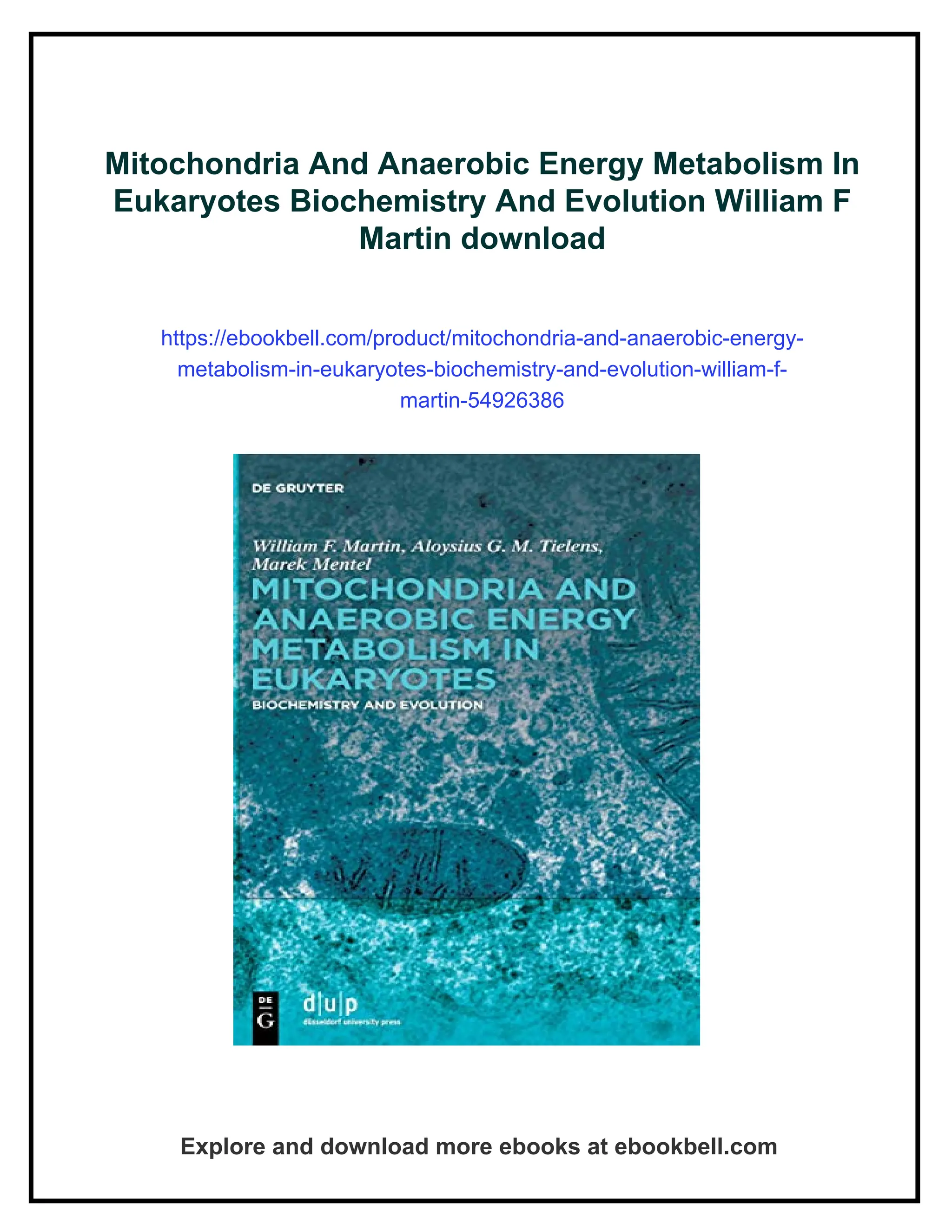 Mitochondria And Anaerobic Energy Metabolism In Eukaryotes Biochemistry ...