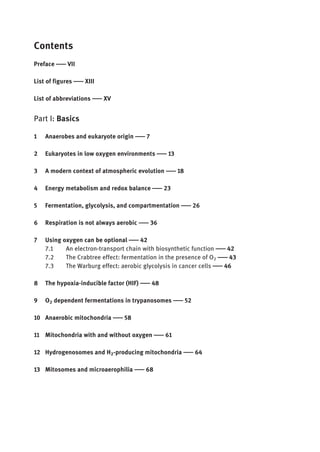 Mitochondria And Anaerobic Energy Metabolism In Eukaryotes Biochemistry ...