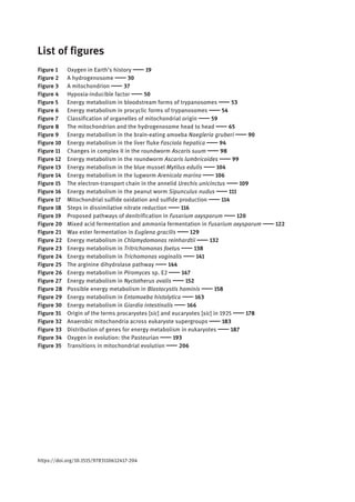 Mitochondria And Anaerobic Energy Metabolism In Eukaryotes Biochemistry ...
