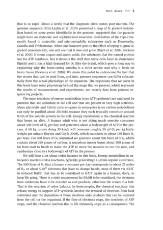 Mitochondria And Anaerobic Energy Metabolism In Eukaryotes Biochemistry ...