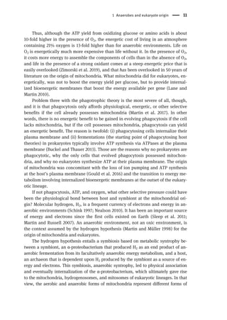 Mitochondria And Anaerobic Energy Metabolism In Eukaryotes Biochemistry ...