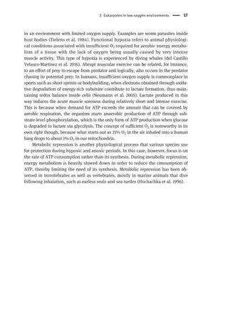 Mitochondria And Anaerobic Energy Metabolism In Eukaryotes Biochemistry ...
