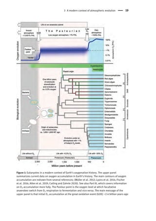 Mitochondria And Anaerobic Energy Metabolism In Eukaryotes Biochemistry ...
