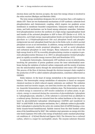 Mitochondria And Anaerobic Energy Metabolism In Eukaryotes Biochemistry ...