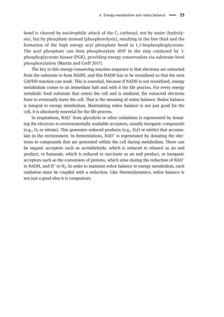 Mitochondria And Anaerobic Energy Metabolism In Eukaryotes Biochemistry ...