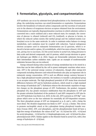 Mitochondria And Anaerobic Energy Metabolism In Eukaryotes Biochemistry ...