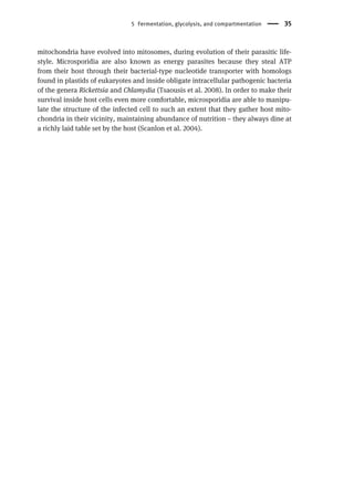 Mitochondria And Anaerobic Energy Metabolism In Eukaryotes Biochemistry ...