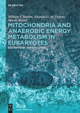 Mitochondria And Anaerobic Energy Metabolism In Eukaryotes Biochemistry ...