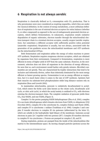 Mitochondria And Anaerobic Energy Metabolism In Eukaryotes Biochemistry ...