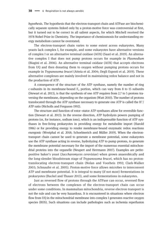 Mitochondria And Anaerobic Energy Metabolism In Eukaryotes Biochemistry ...