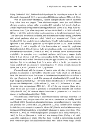 Mitochondria And Anaerobic Energy Metabolism In Eukaryotes Biochemistry ...